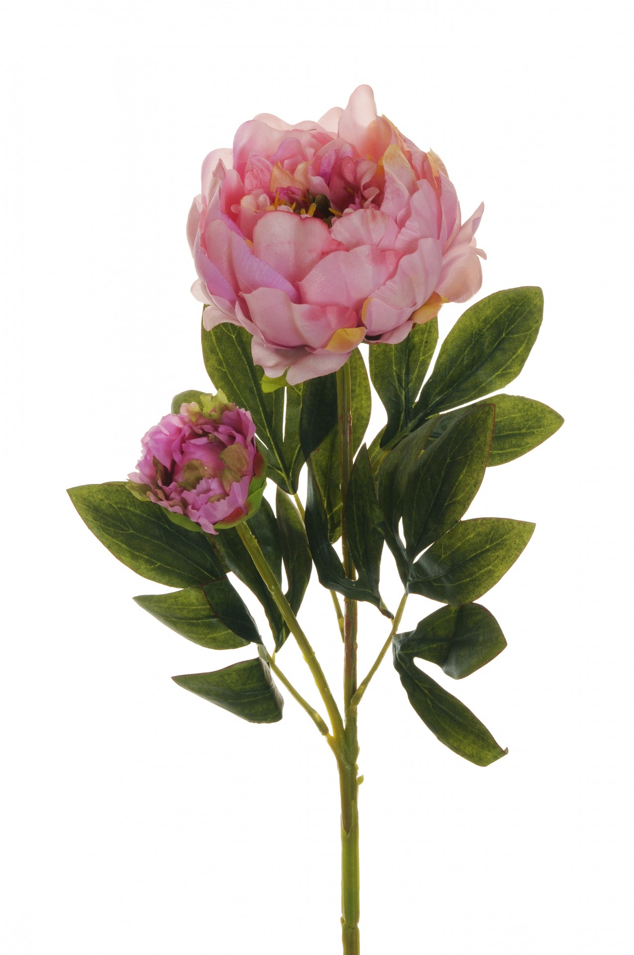 PEONIJA mākslīgais zieds 66cm - Fioro - kvalitatīvi mākslīgie ziedi un ...